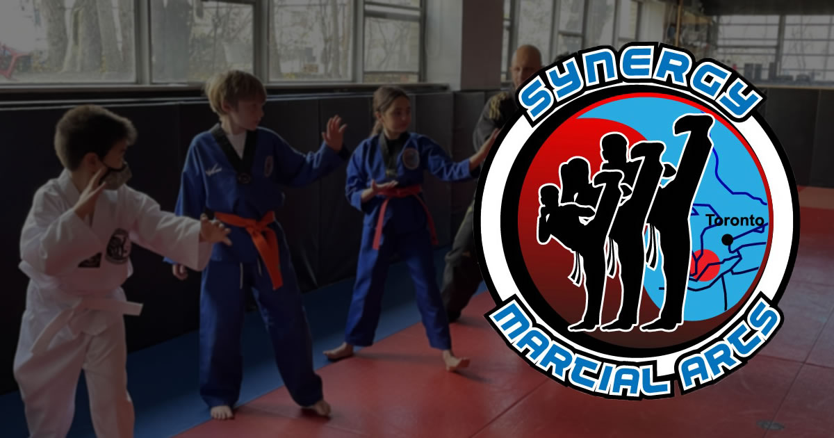 Synergy Martial Arts | Toronto Martial Arts Classes